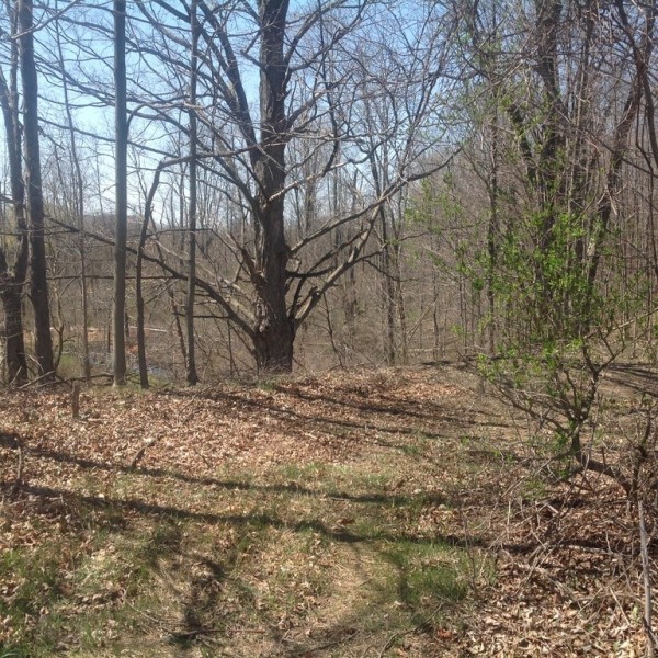 Stinson Rd, Riley, MI 48041 is For Sale By Owner | Reozom
